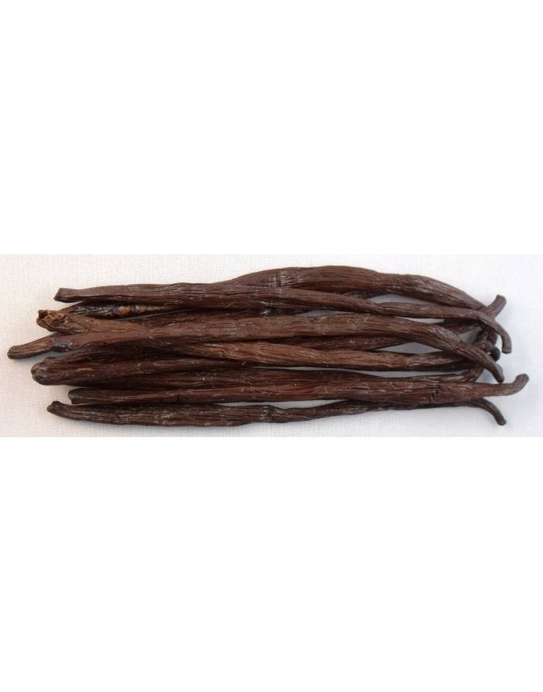 Gousses de Vanille Bourbon de Madagascar Extra | Sambavanilla