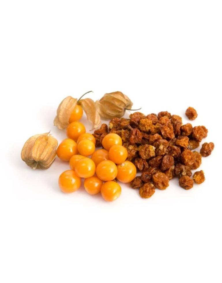 Dried Physalis from Madagascar