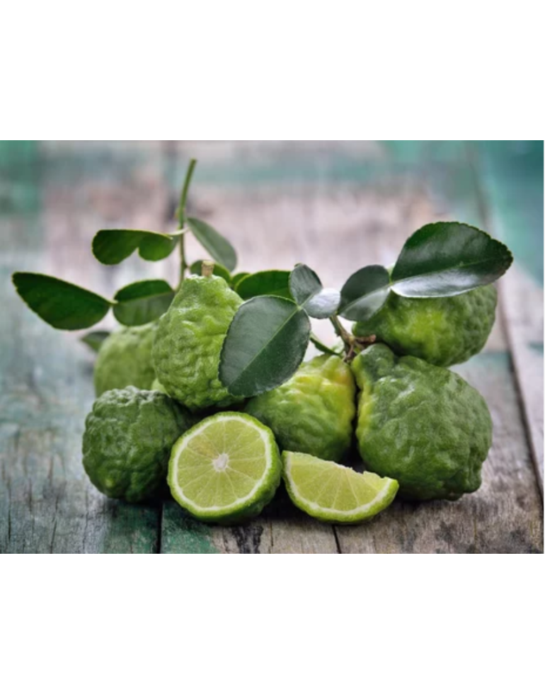 Kaffir Lime Powder from Madagascar