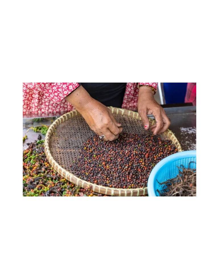 Red Kampot pepper PGI