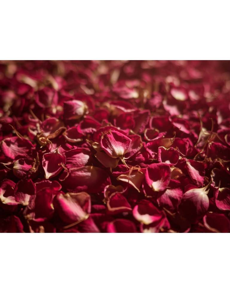Pétales de rose séchées d'Iran | Sambavanilla